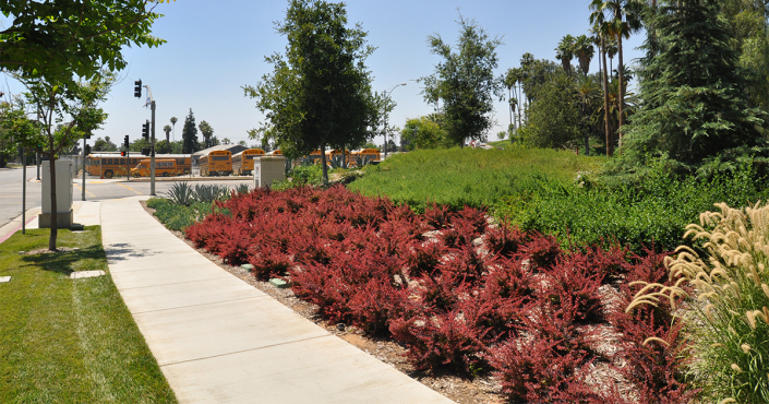 University of Redlands - Ridge Landscape Architects